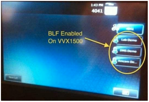 What is a Busy Lamp Field in IP Tel Manager?